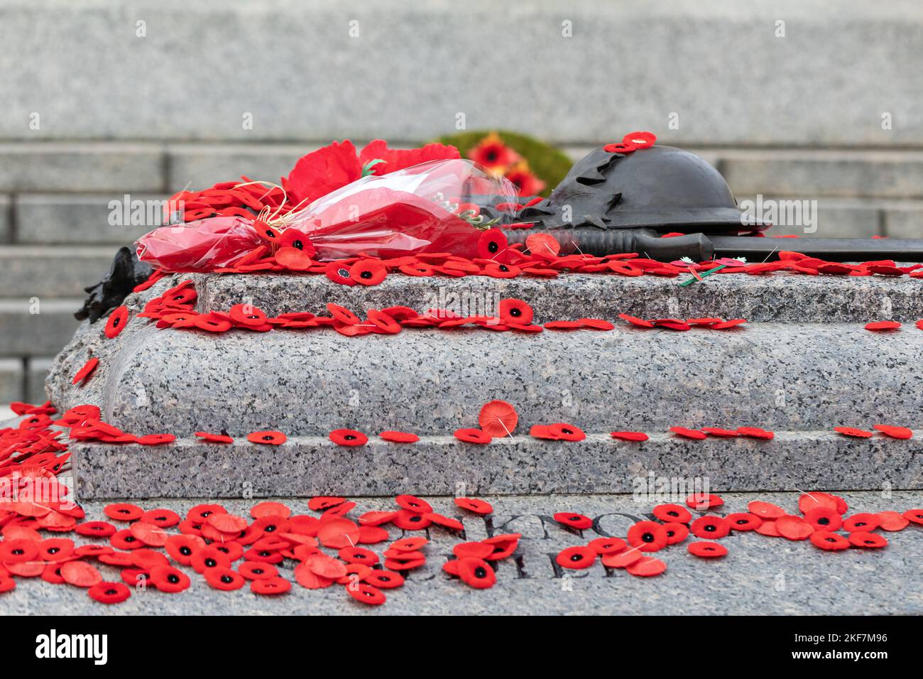 Tomb Of The Unknown Soldier in Ottawa, Canada on Remembrance Day with ...