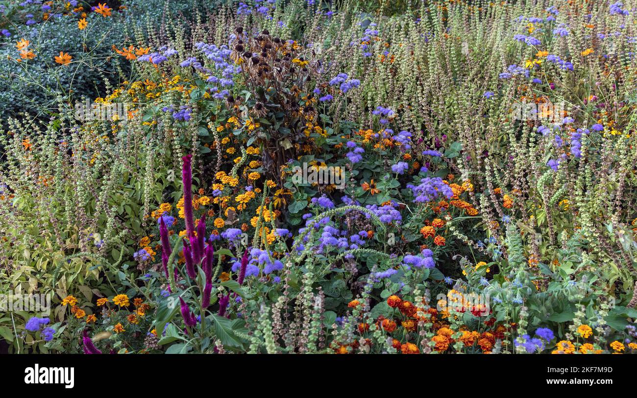 Flowers, gardens & plants Stock Photos & Images from Alamy