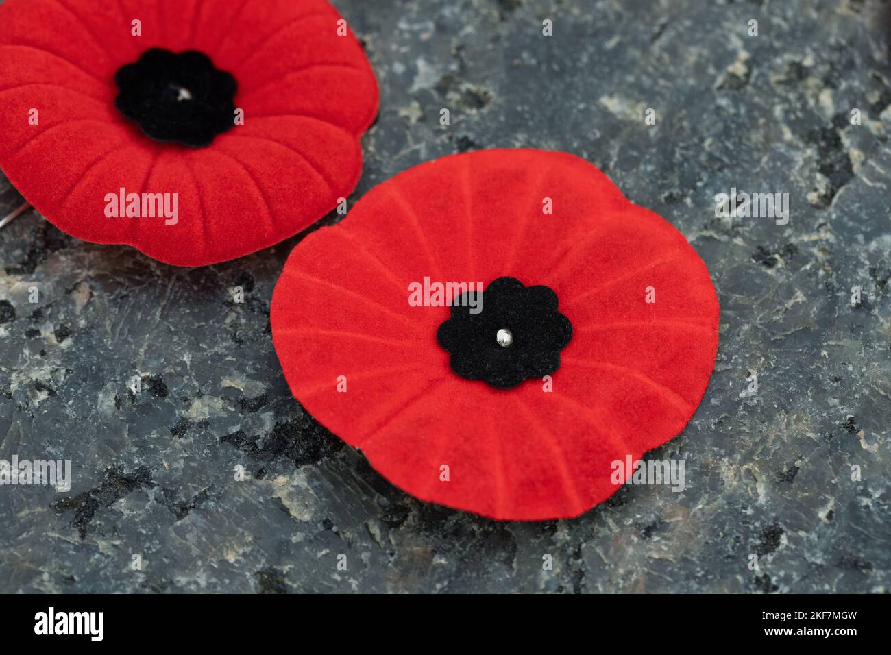 Remembrance Day two poppy flower pins on stone background Stock Photo ...