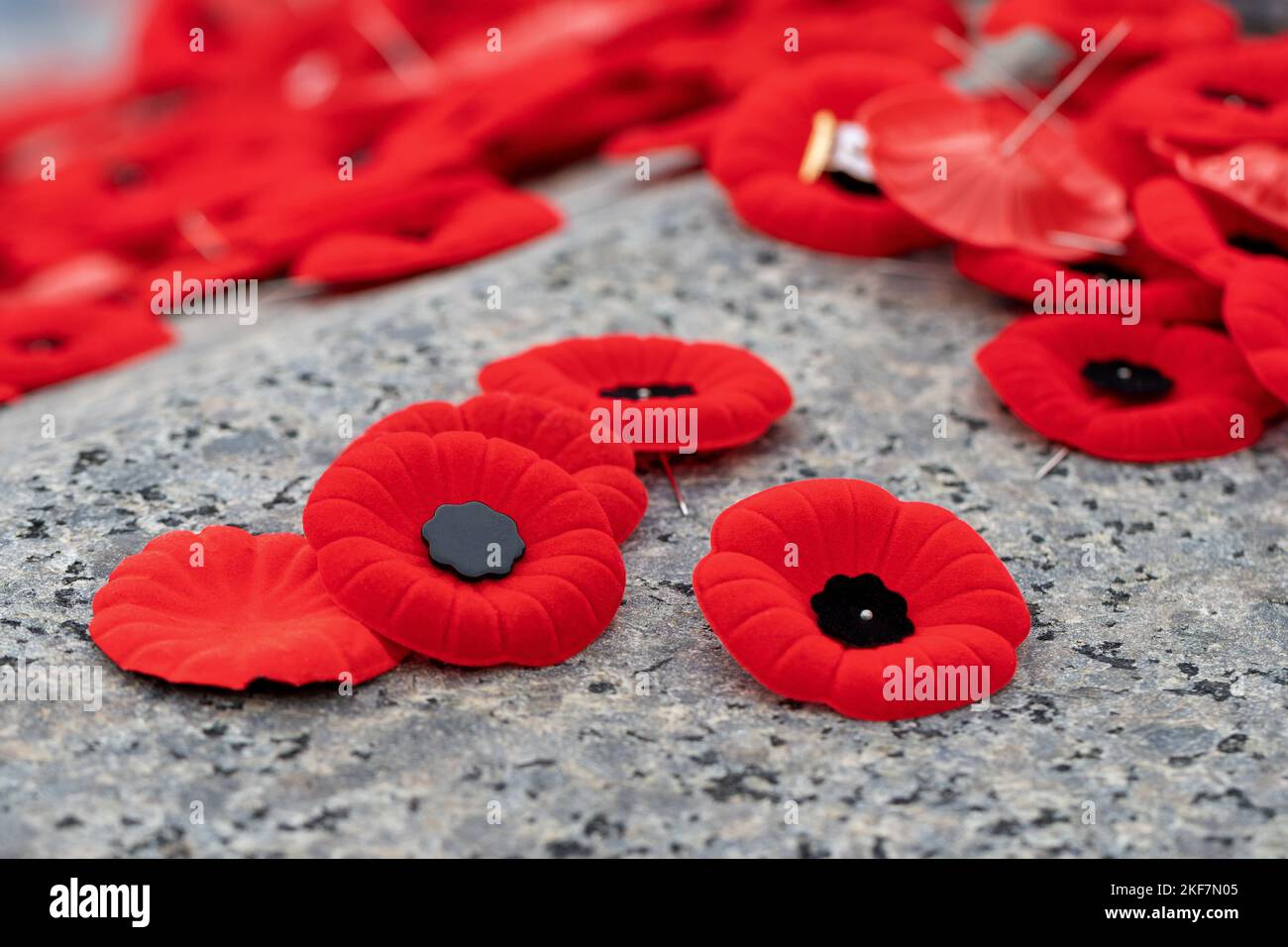 Flower pins hi-res stock photography and images - Alamy