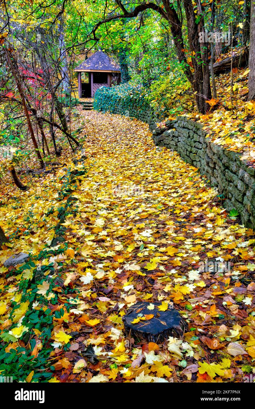The landscape of the maple leaf hi-res stock photography and images - Alamy