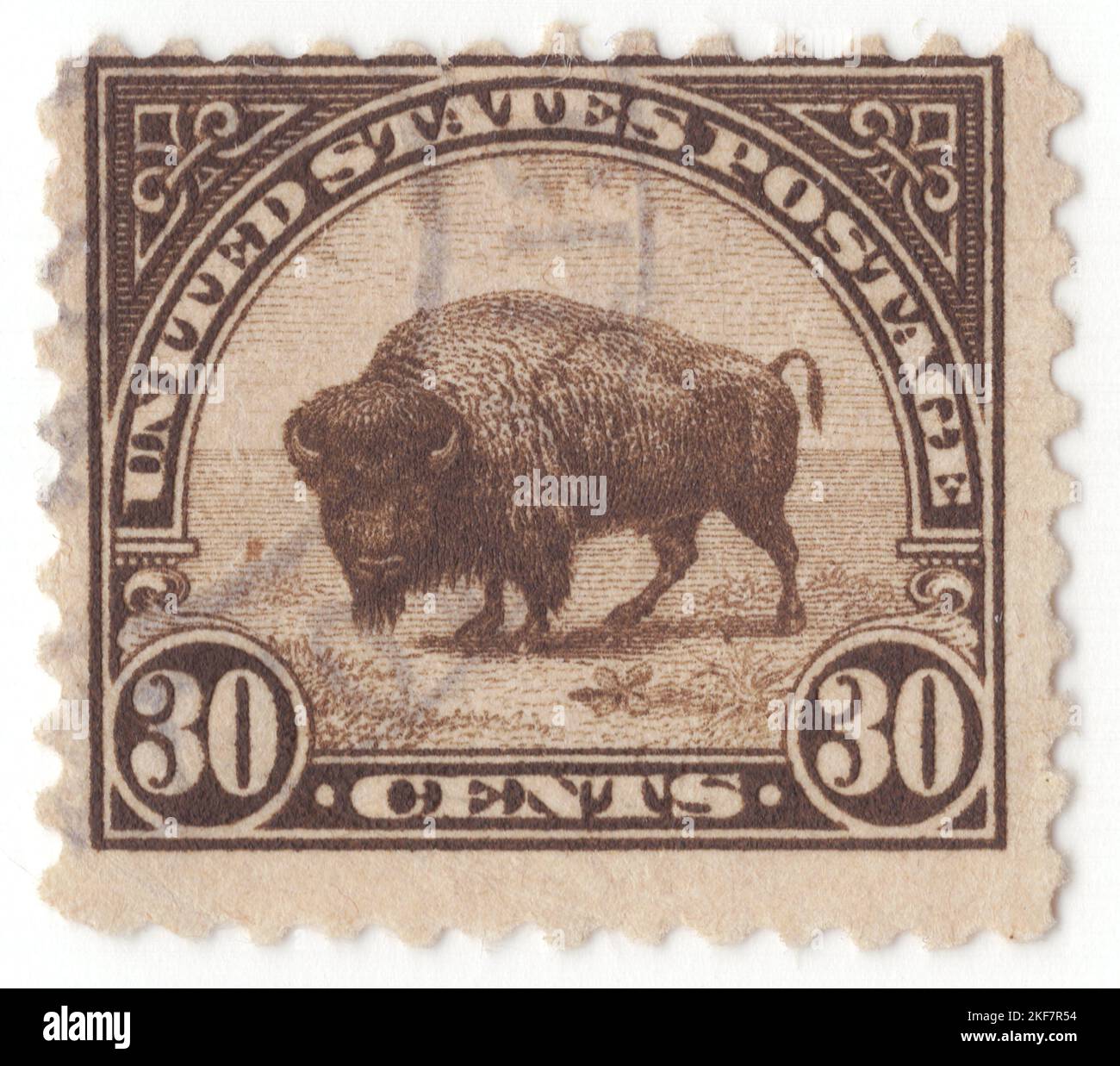 Teams with wildlife Cut Out Stock Images & Pictures - Alamy