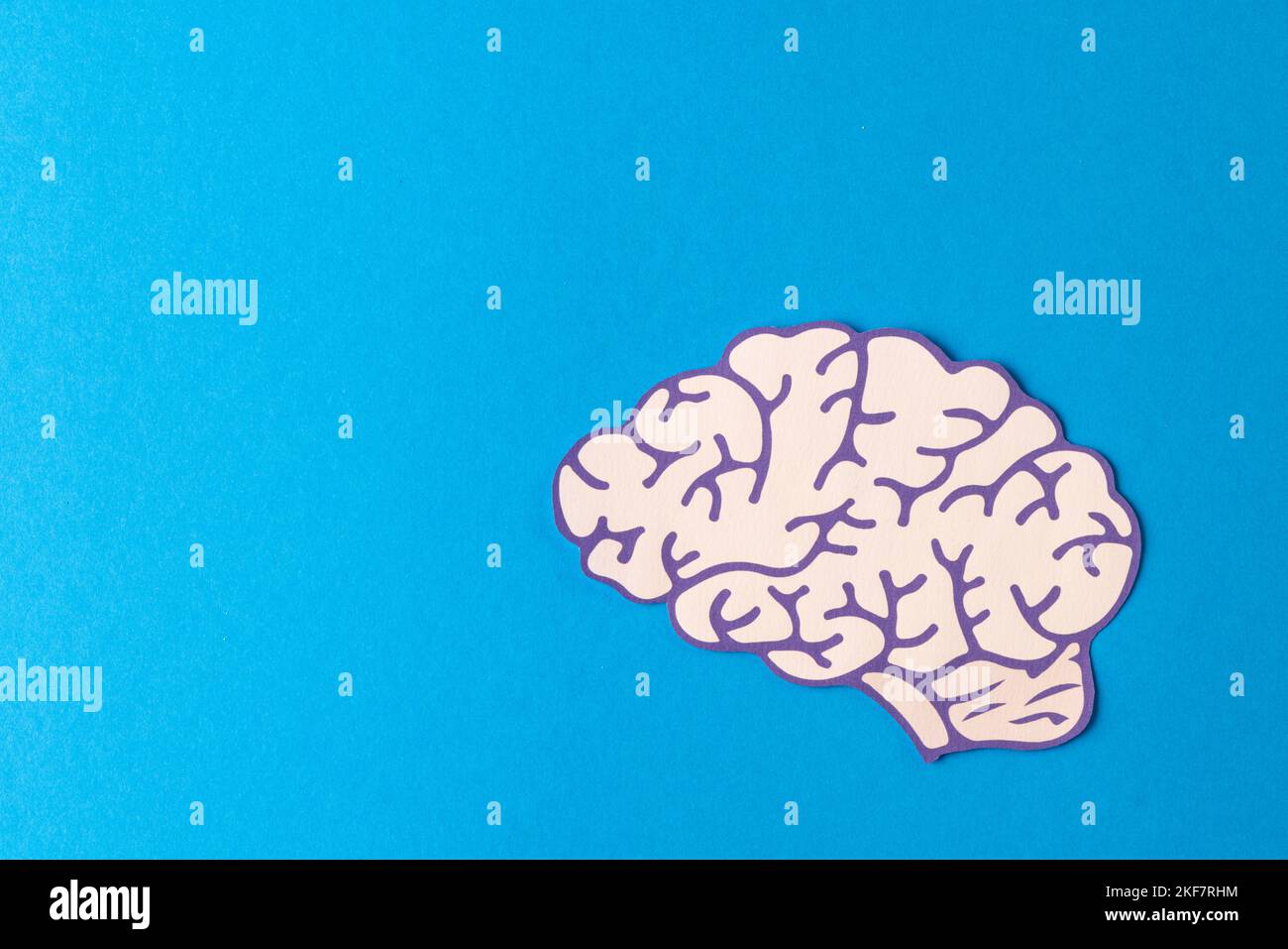 Composition of brain on blue background Stock Photo - Alamy