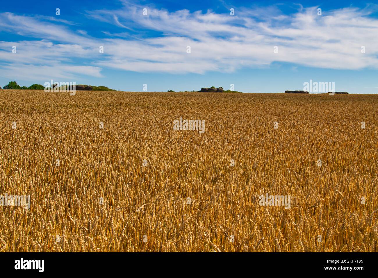 German WW2 battery behind coastline Stock Photo - Alamy