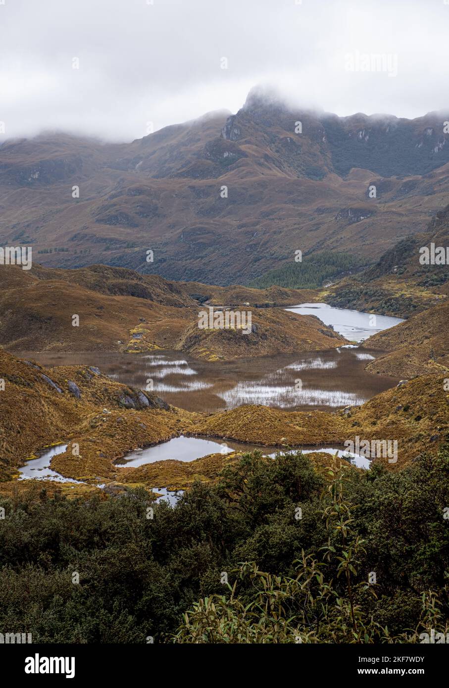 Vertical photo of a cloudscape of the Cajas National Park in the Andean ...