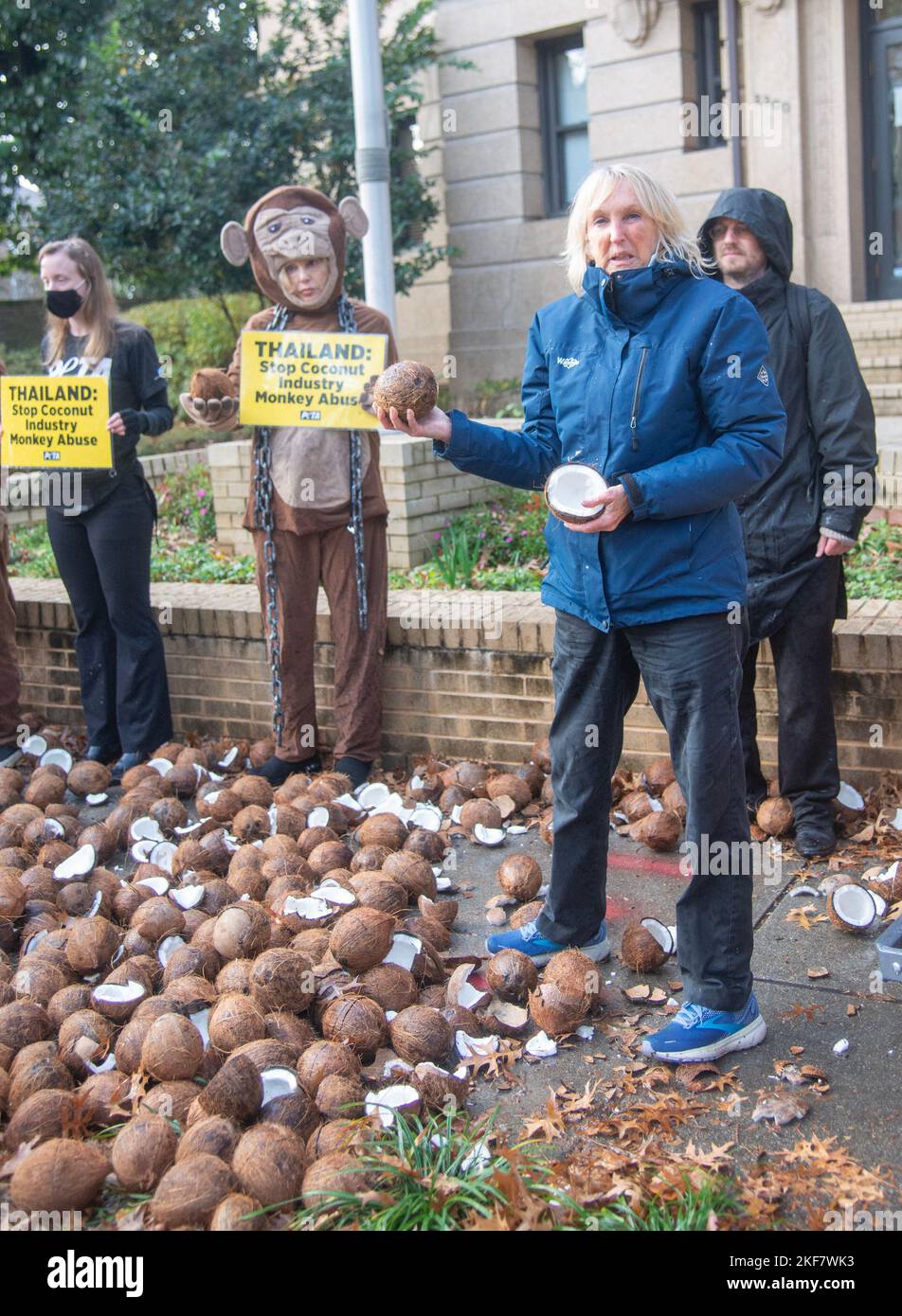 Washington DC, November 16,2022, USA—Ingrid Newkirk, President of PETA ...