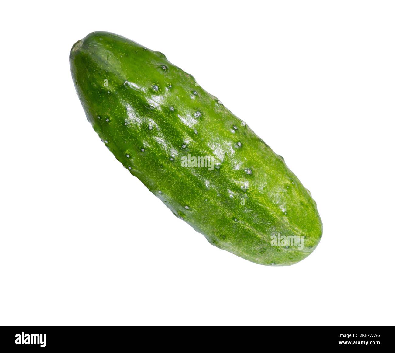 Cucumber. Fresh green cucumber isolated on white background. Natural ...