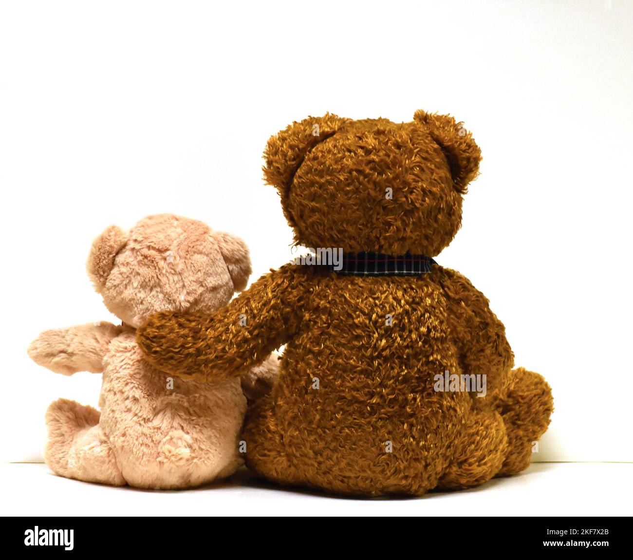 brown and tan stuffed teddy bears facing backwards Stock Photo - Alamy
