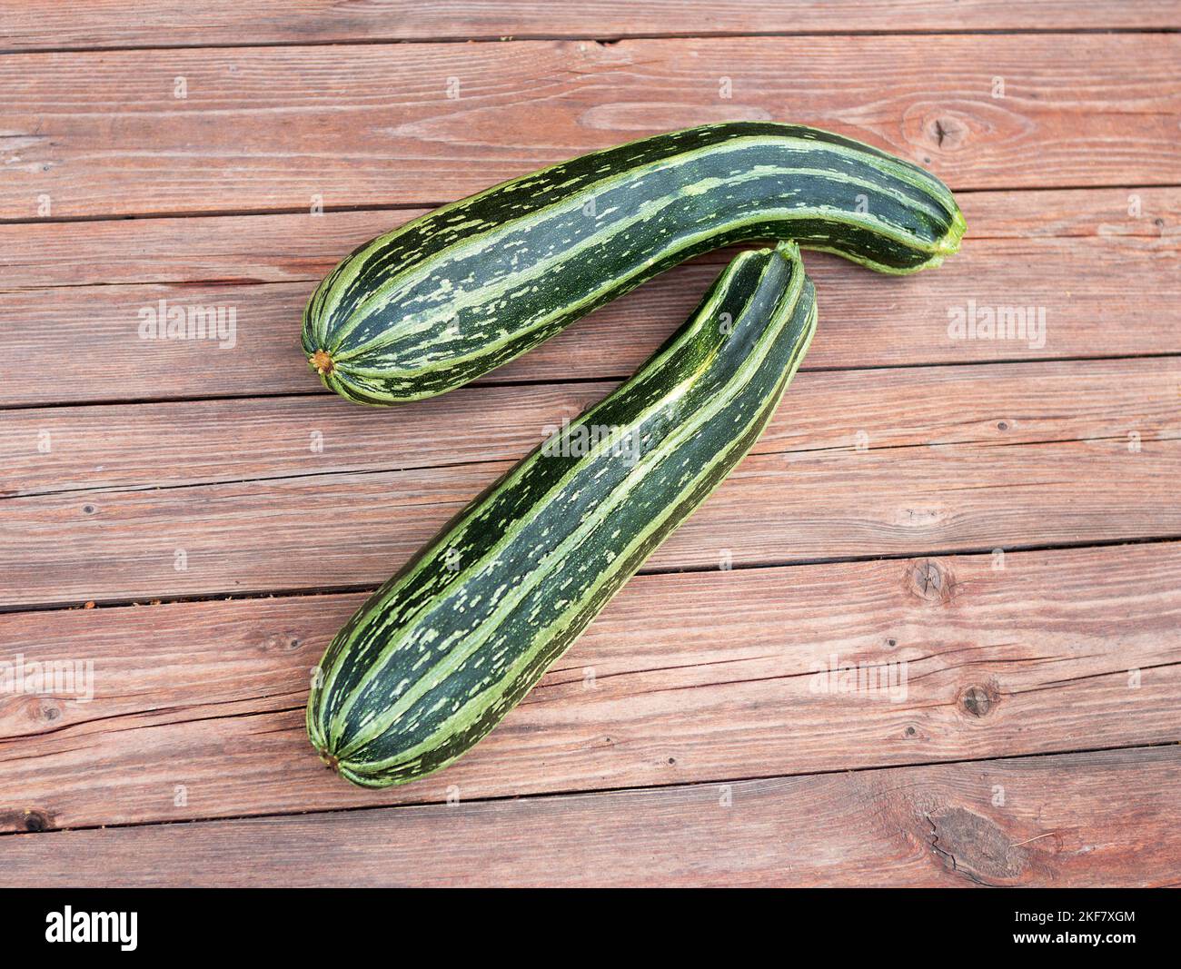 Zucchini or green courgette on a wooden table. Summer squash Stock ...