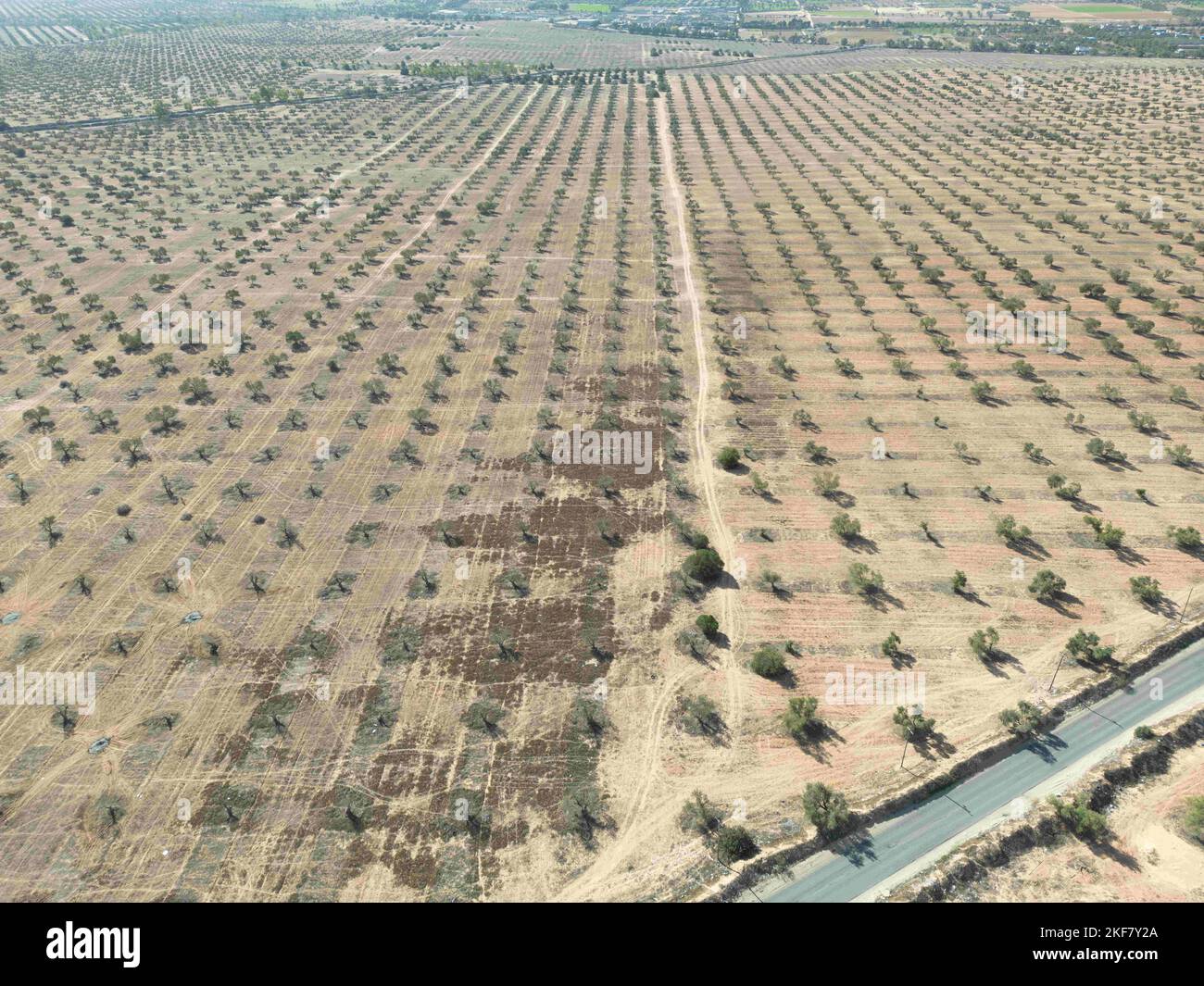 Suwehli farm hi-res stock photography and images - Alamy