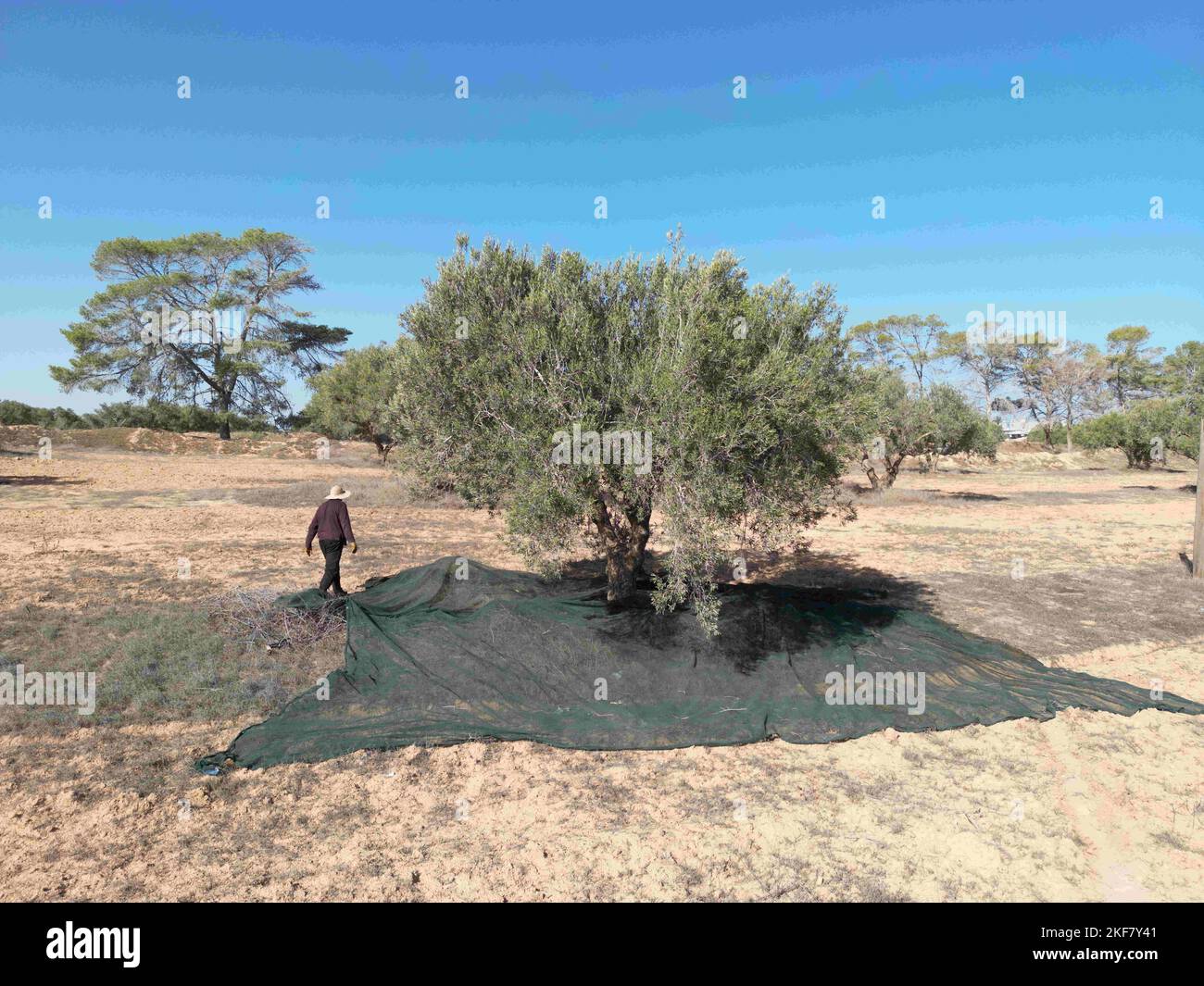 Salem liga hi-res stock photography and images - Alamy