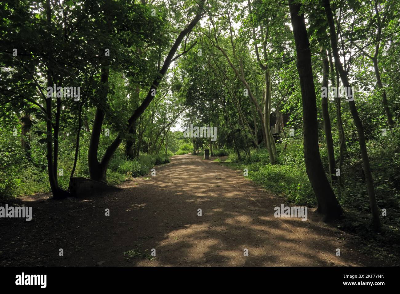 view along railway line repurposed as public footpath Parkland Walk ...