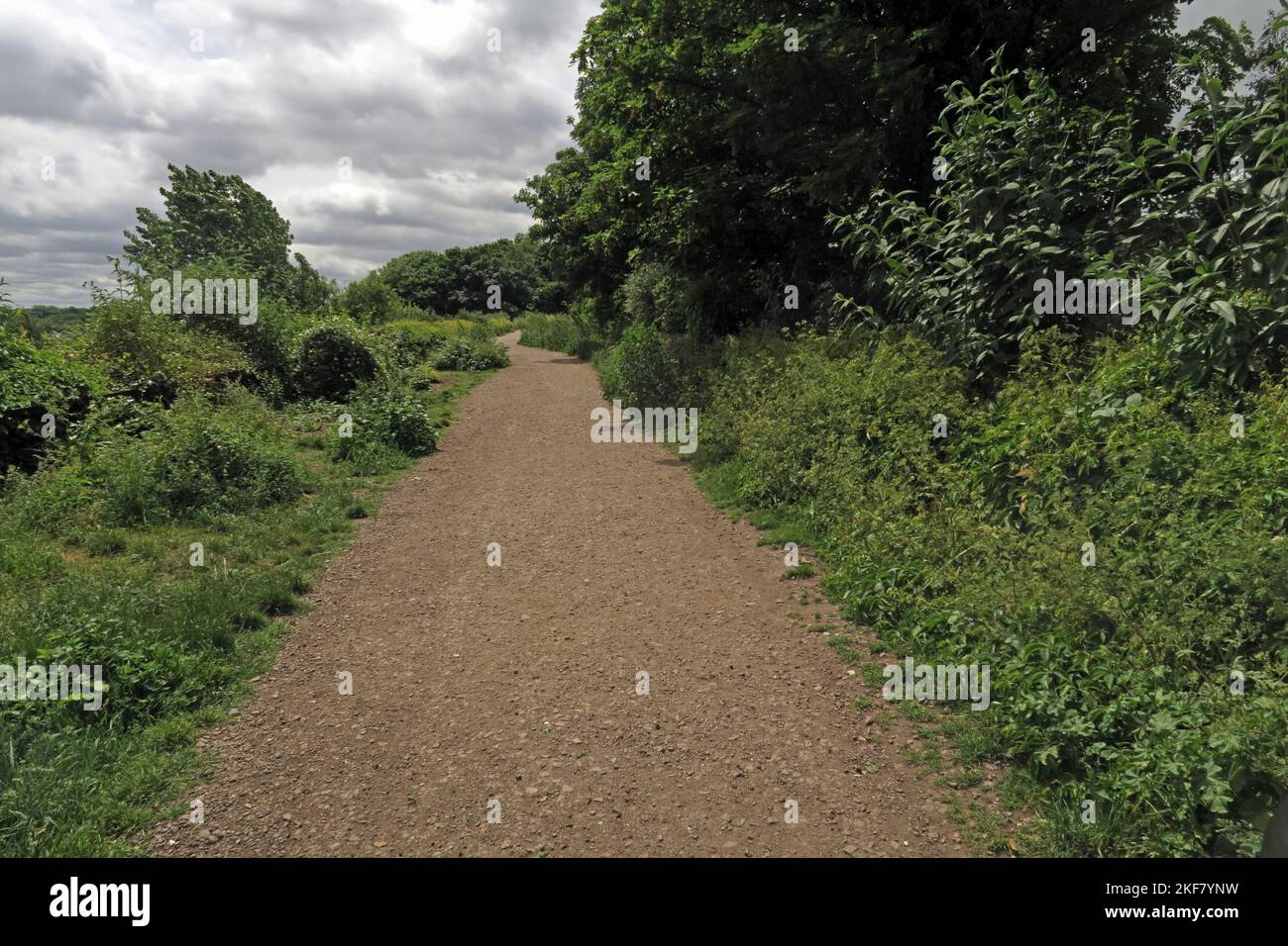 view along railway line repurposed as public footpath Parkland Walk ...