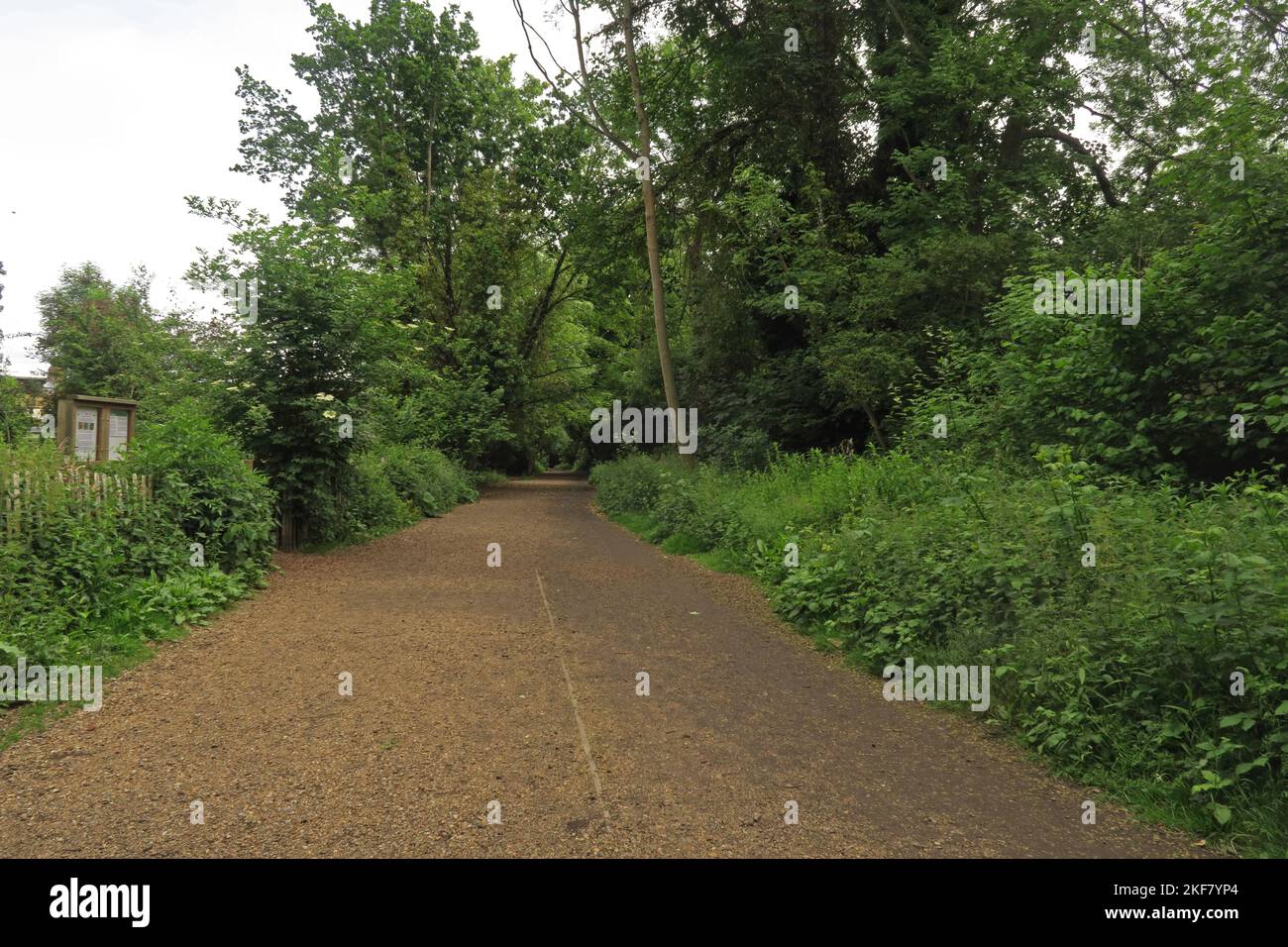 view along railway line repurposed as public footpath Parkland Walk ...