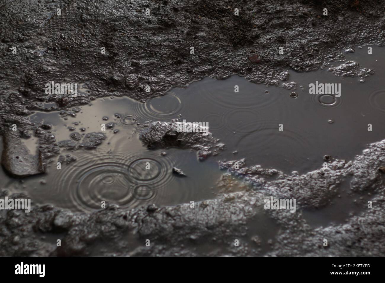 Defocus close up on the wet rainy soil ground. Water rain droplet splashes in puddle on ground ...