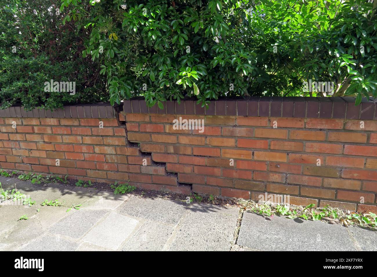 Cracks through the bricks in garden wall - recurrent issue | Screwfix ...