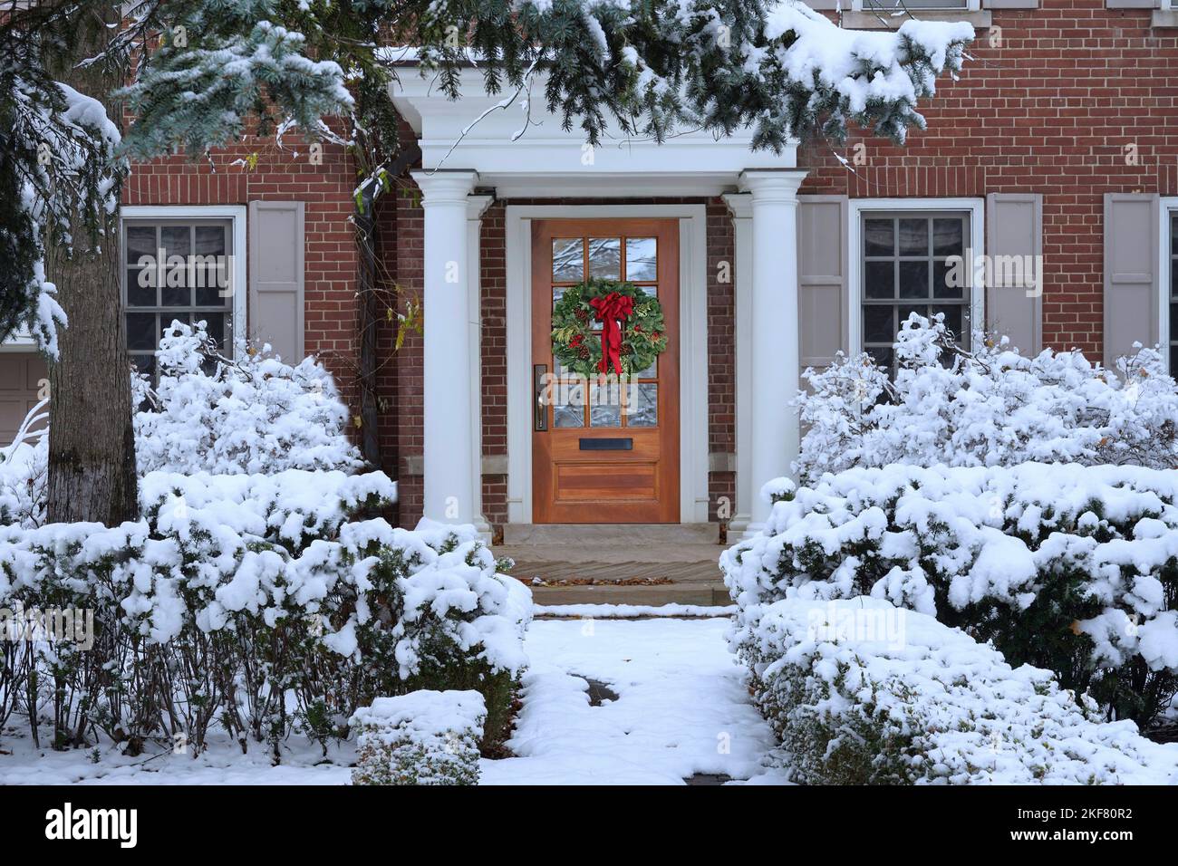 Snow covered pine tree and shrubbery in front of traditional brick ...
