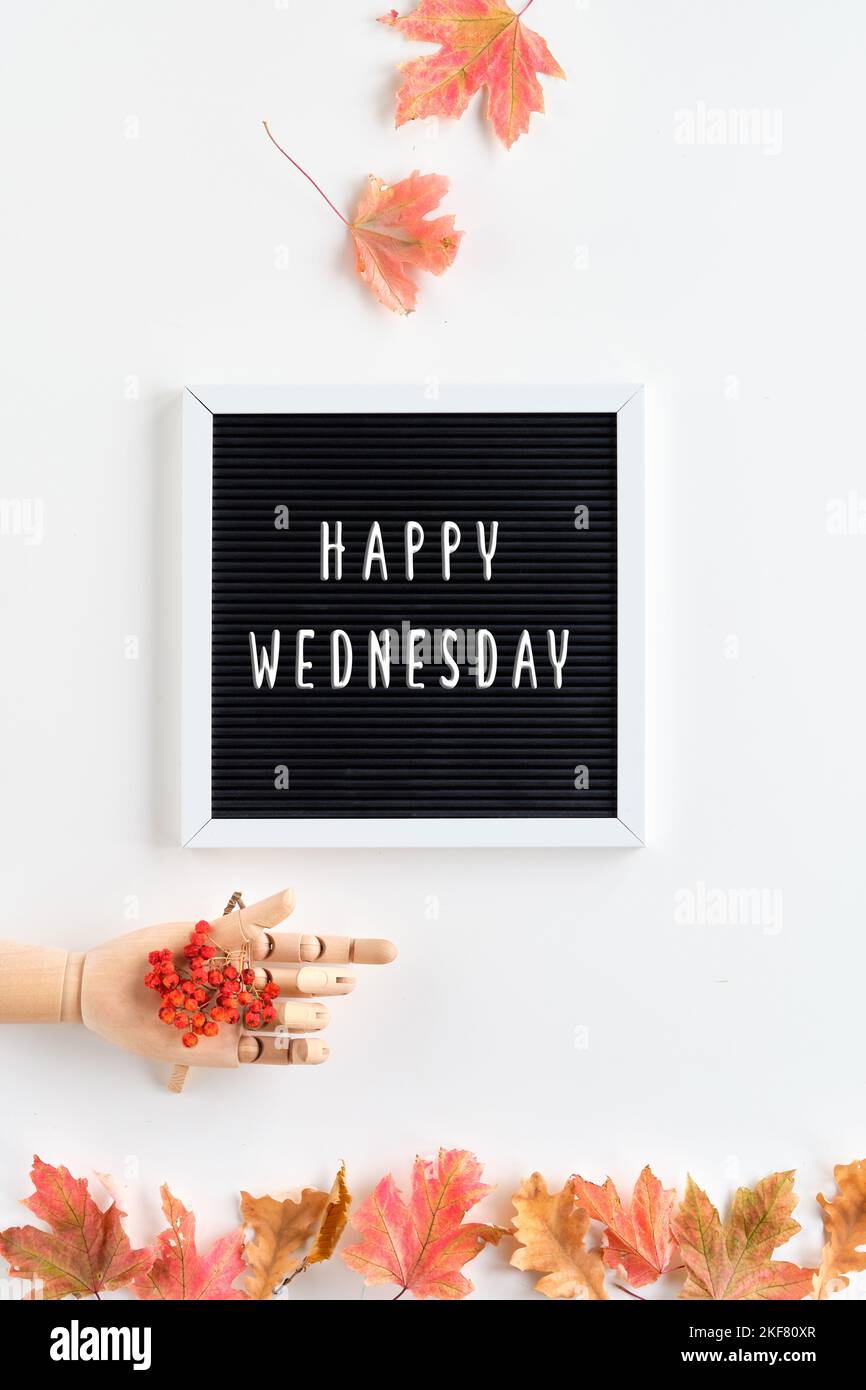 Happy Wednesday greeting text on text board. Autumn leaves and rowan ...