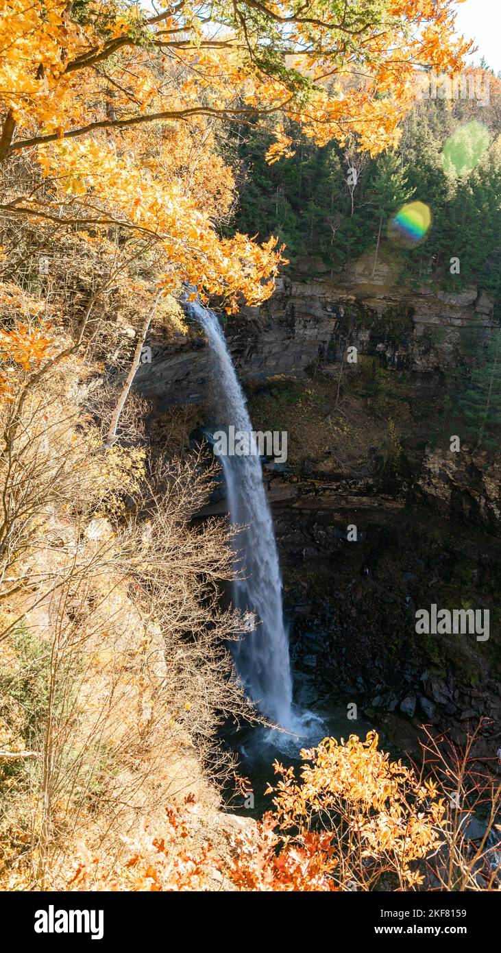 Vertical shot stream small waterfall hi-res stock photography and ...