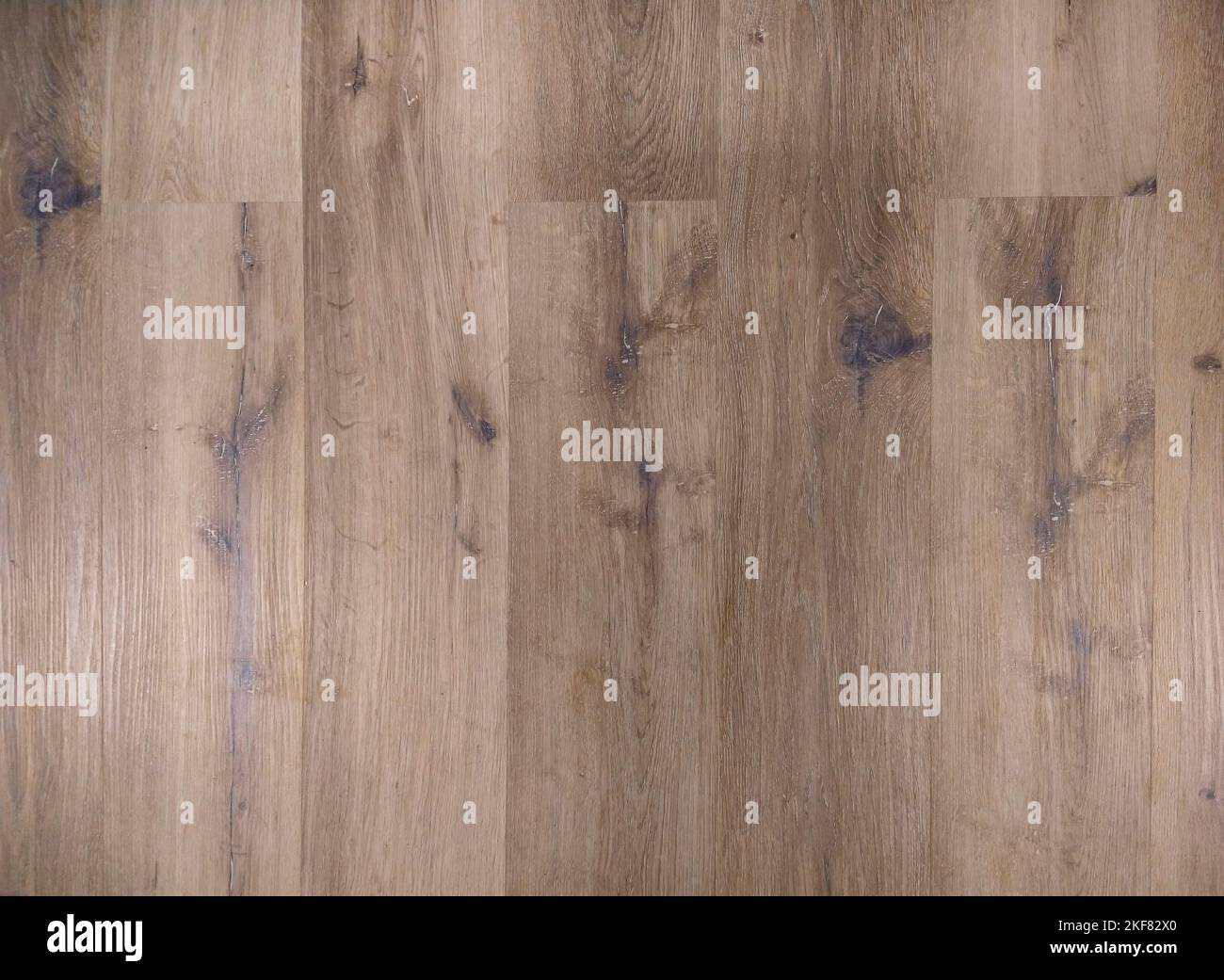 Beautiful parque background in light brown color Stock Photo - Alamy