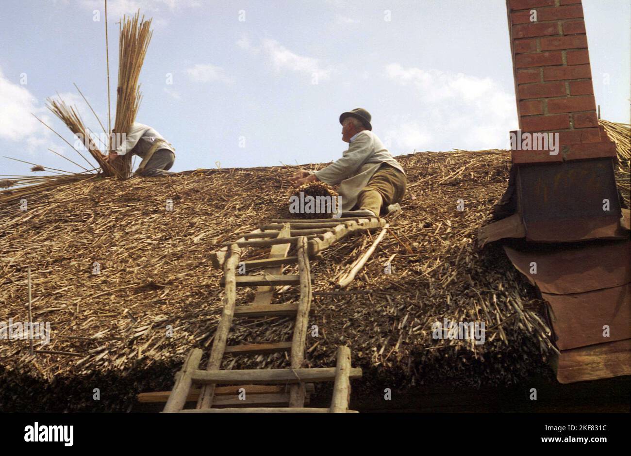 Snagov, Ilfov County, Romania, 2001. Gheorghe N. Dumitru (known as Nea ...