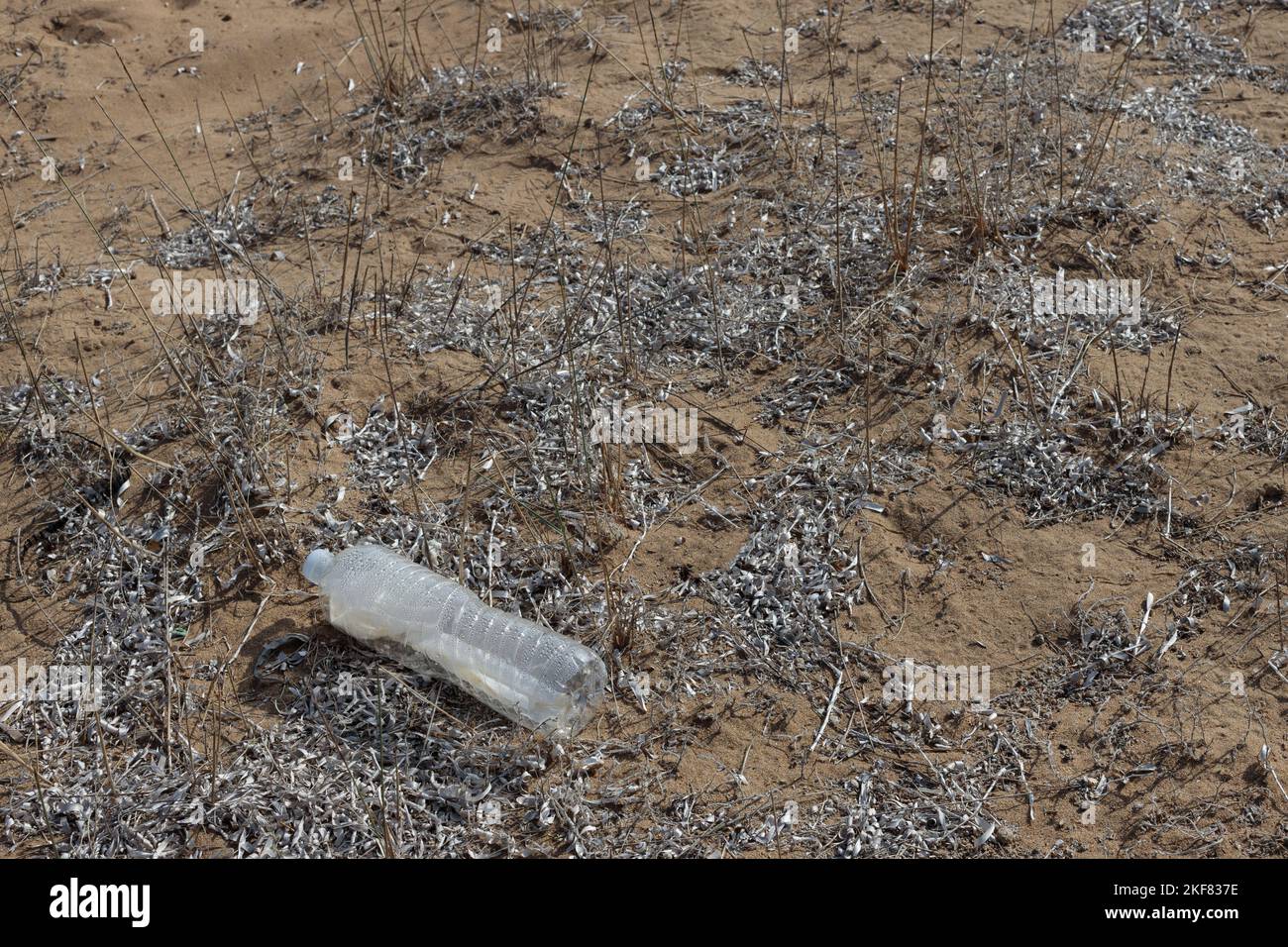 The problem of microplastics in the environment. Plastic shed on beach ...