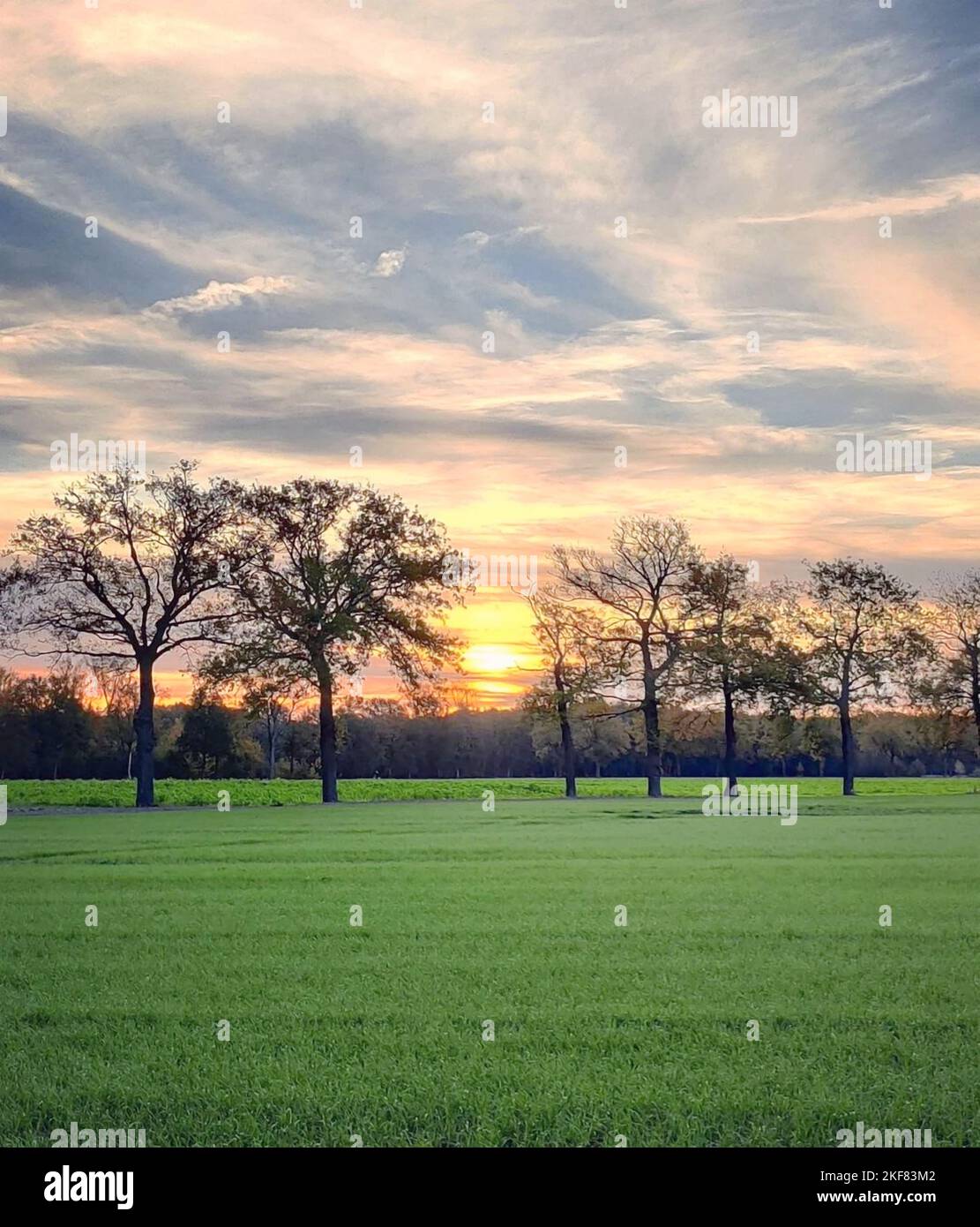 A beautiful view of grassland with trees under a cloudy blue sky with ...
