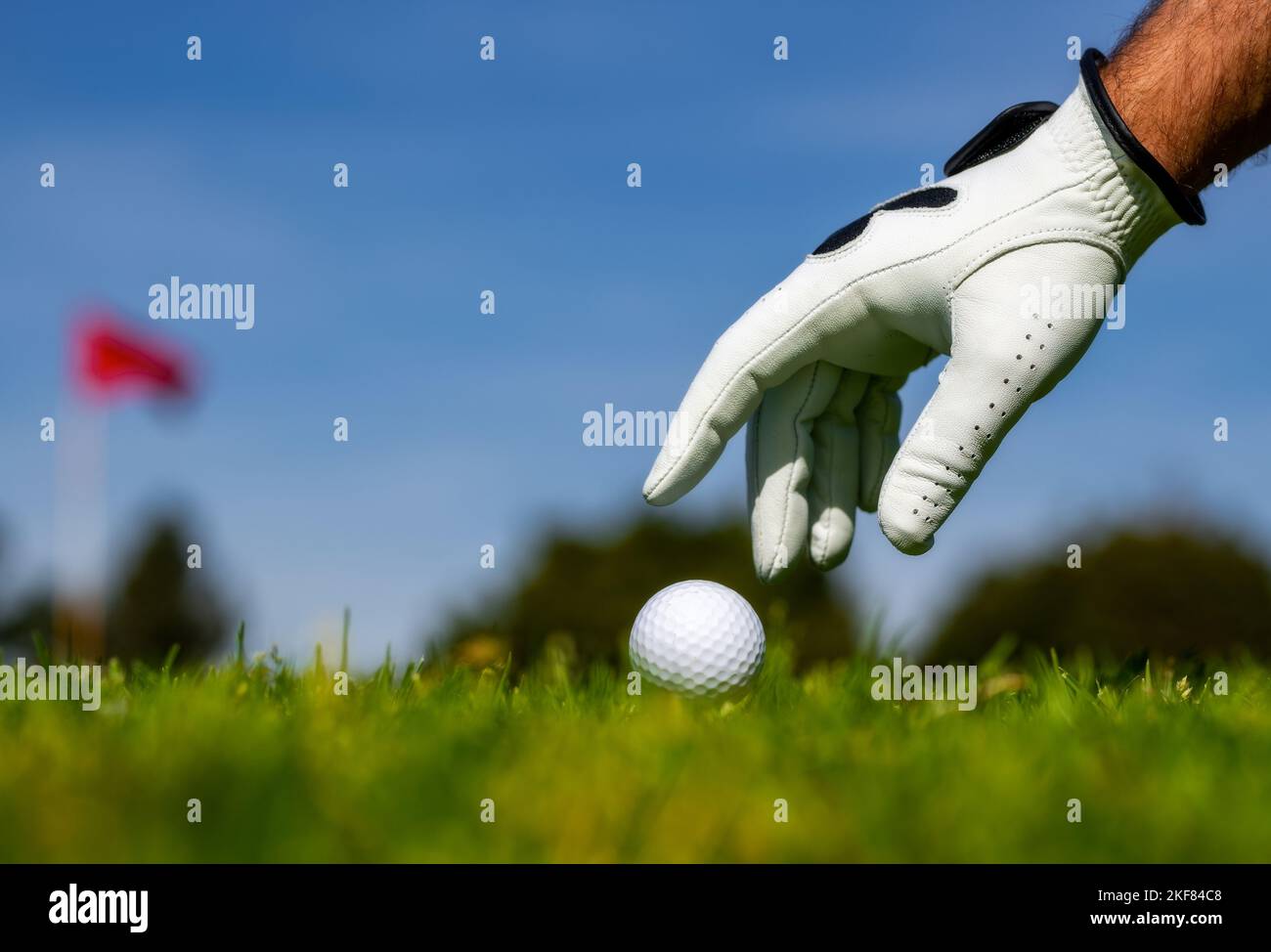 Golfer man with golf glove. Hand putting golf ball on tee in golf ...