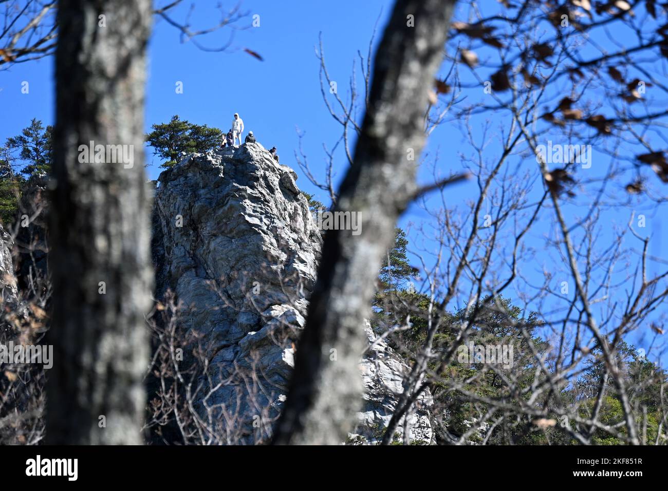 Looking up through the trees at the Hanging Rock overlook at Hanging ...