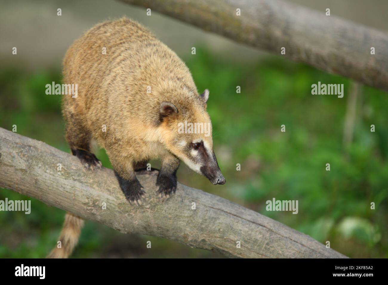 Kleinbar hi-res stock photography and images - Alamy