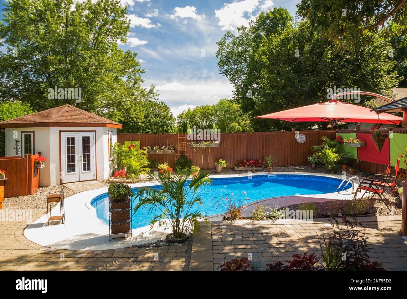 Irregular oval shaped in-ground swimming pool bordered by tan paving ...