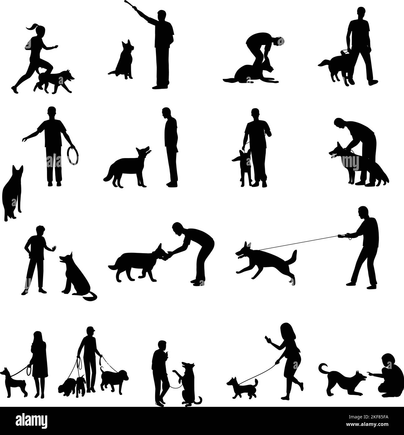 A vector illustration of dogs training isolated on a white background ...