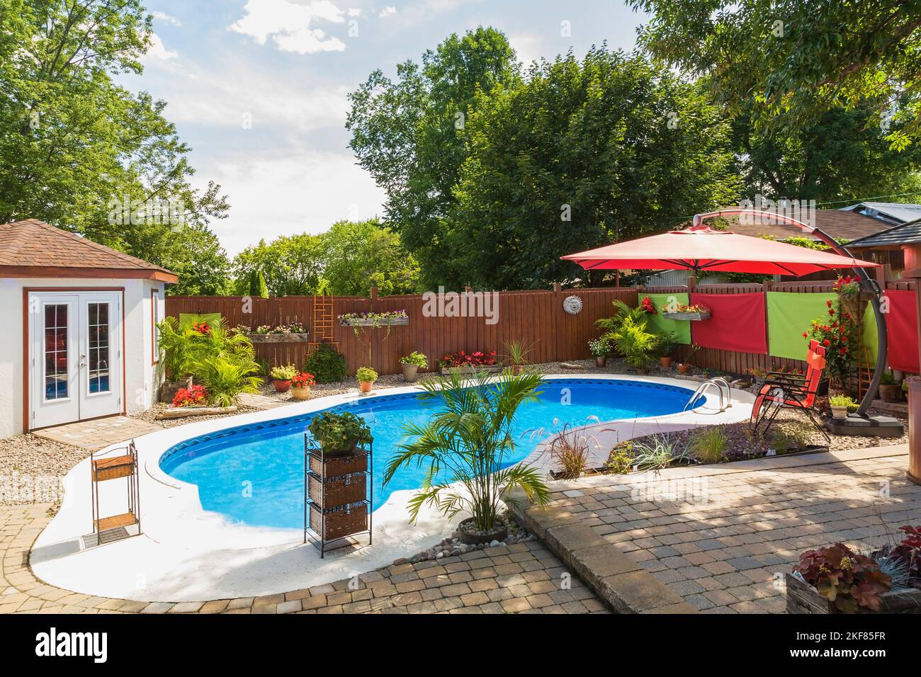 Irregular oval shaped in-ground swimming pool bordered by tan paving ...