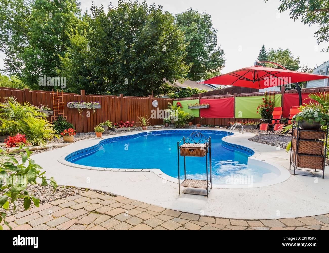 Irregular oval shaped in-ground swimming pool bordered by tan paving ...