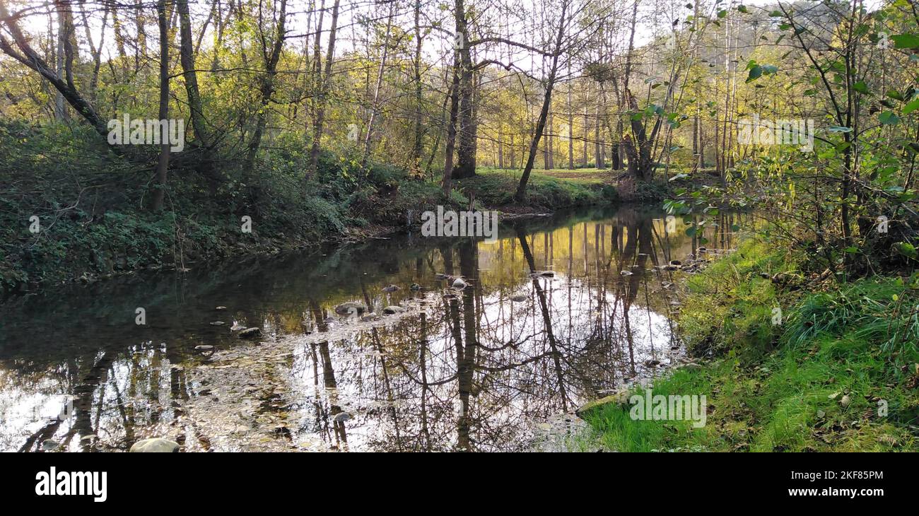 The beautiful Gradac river, surrounded by green trees Stock Photo - Alamy