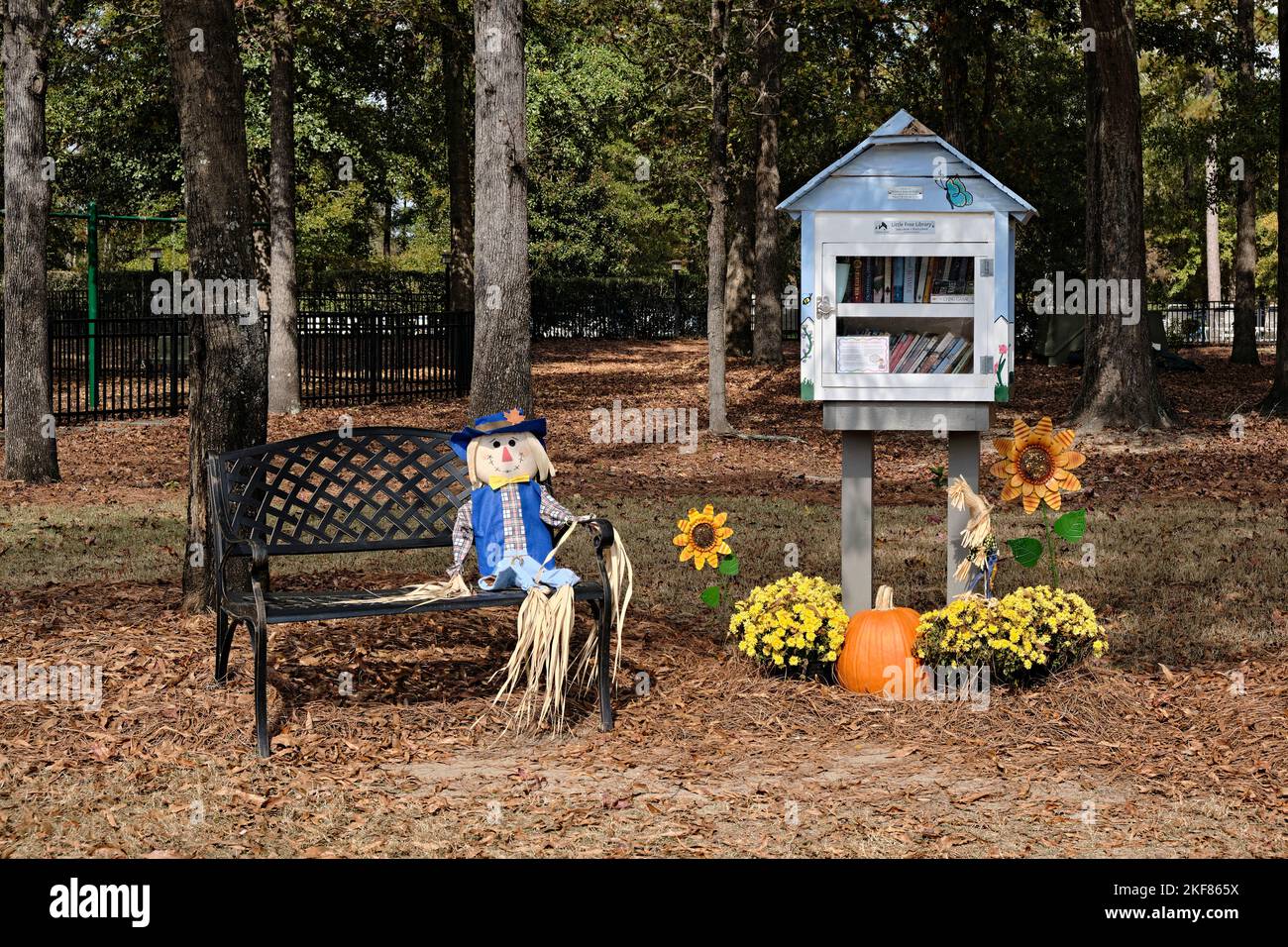 Little free library book stand cabinet loaded with books with seasonal ...