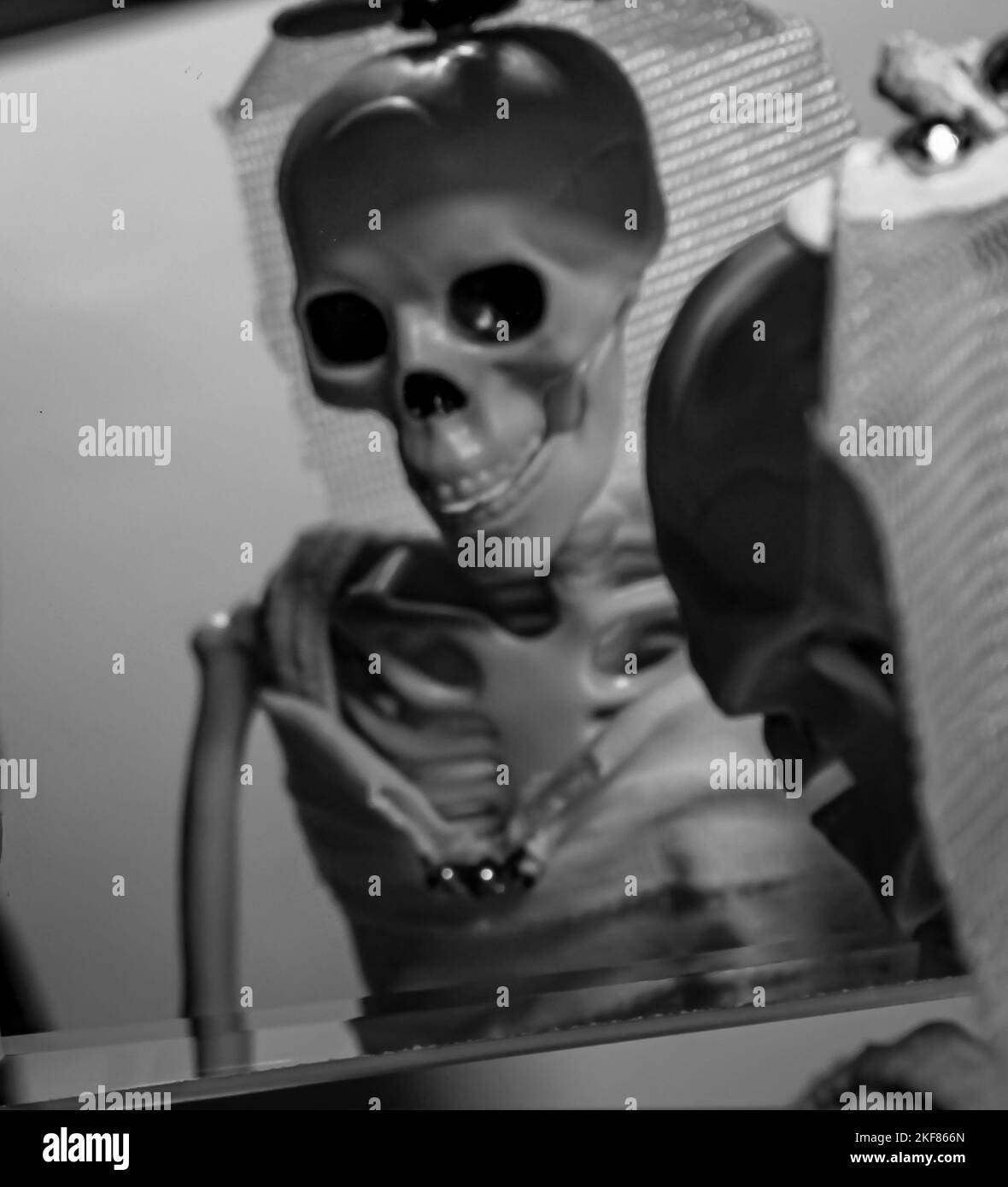 Black and White - Seeing the reflection of a skeleton bride in the ...