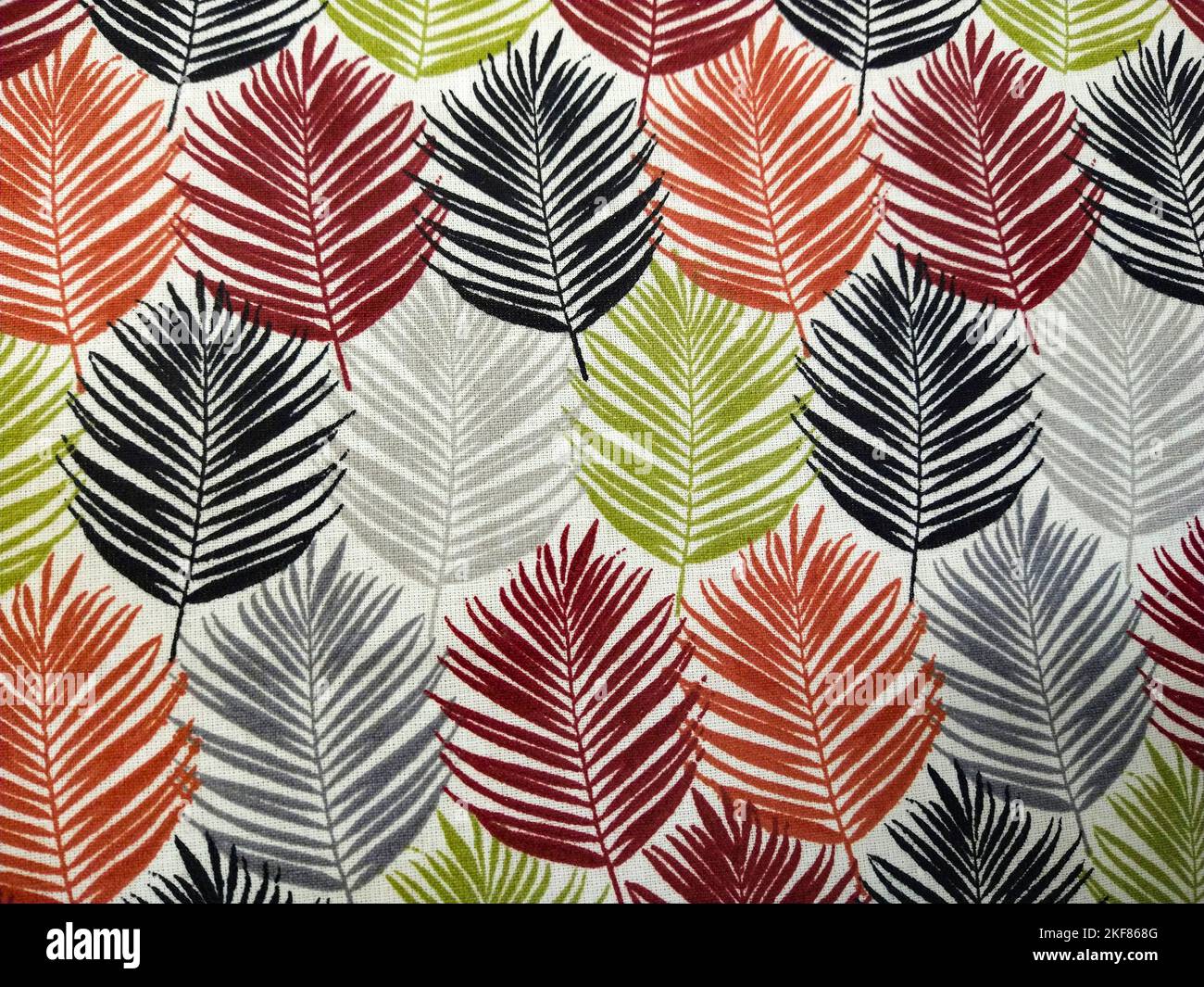 Creative background with colorful patterns composition of palm tree ...