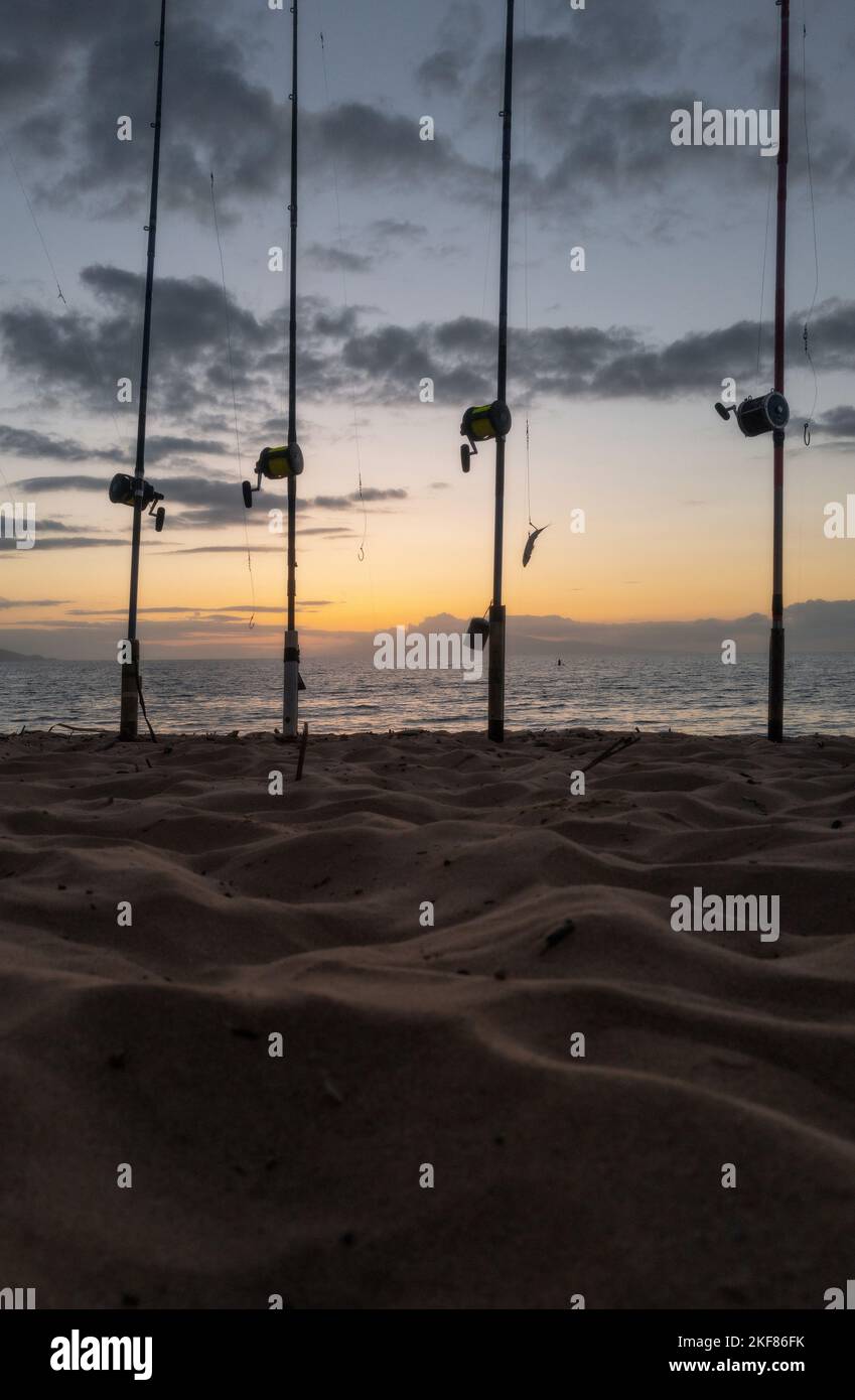 Fishing rod spinning. Fishing rods in rod due the fishery day at the ...