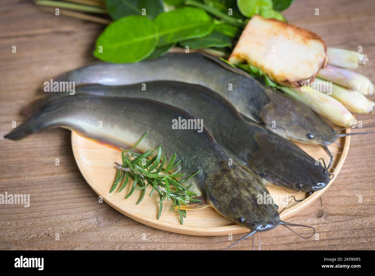 catfish on plate, fresh raw catfish freshwater fish, catfish for ...