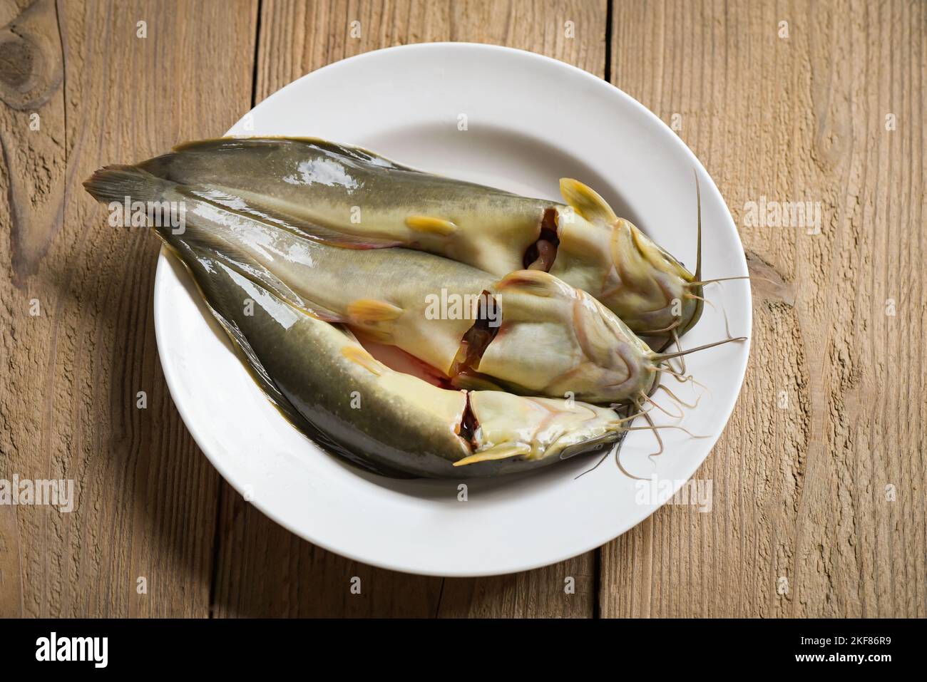 catfish on plate, fresh raw catfish freshwater fish, catfish for ...