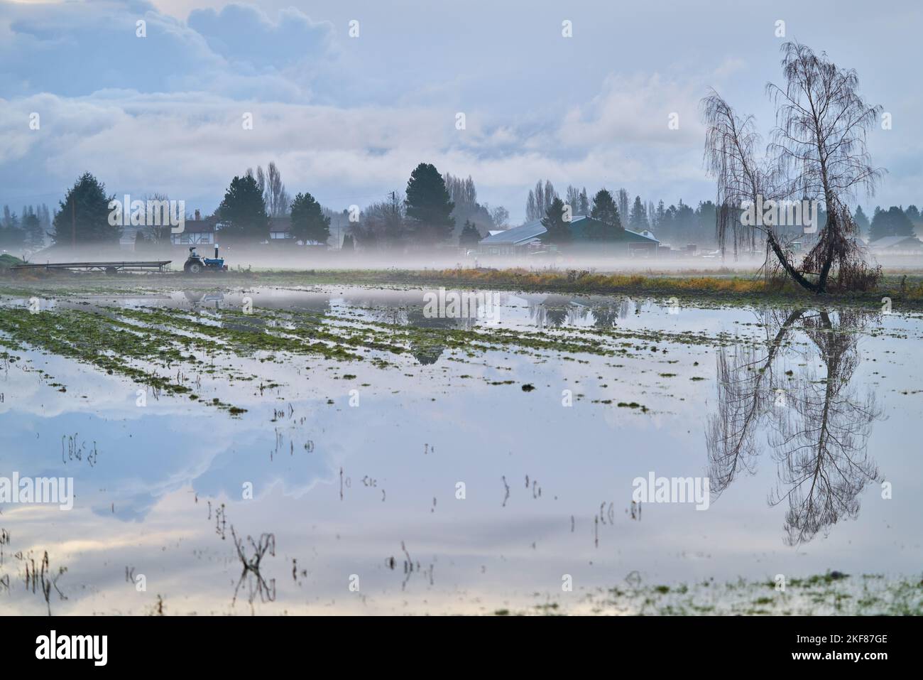 Morning Mist and Flooded Field. Heavy rains cause a flooded, muddy farm ...