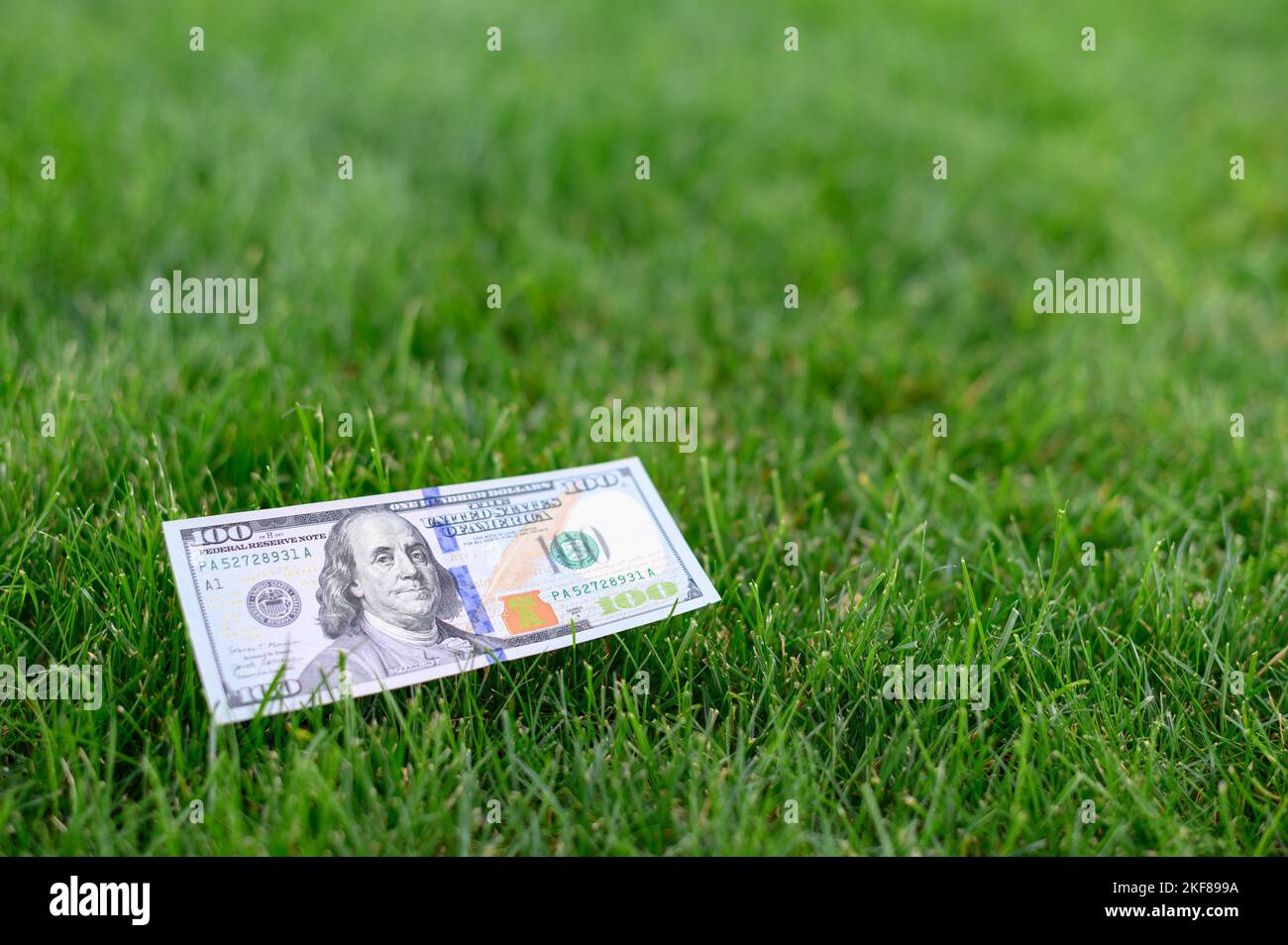 Close up 100 Dollar bank note on grass background. One hundred American ...
