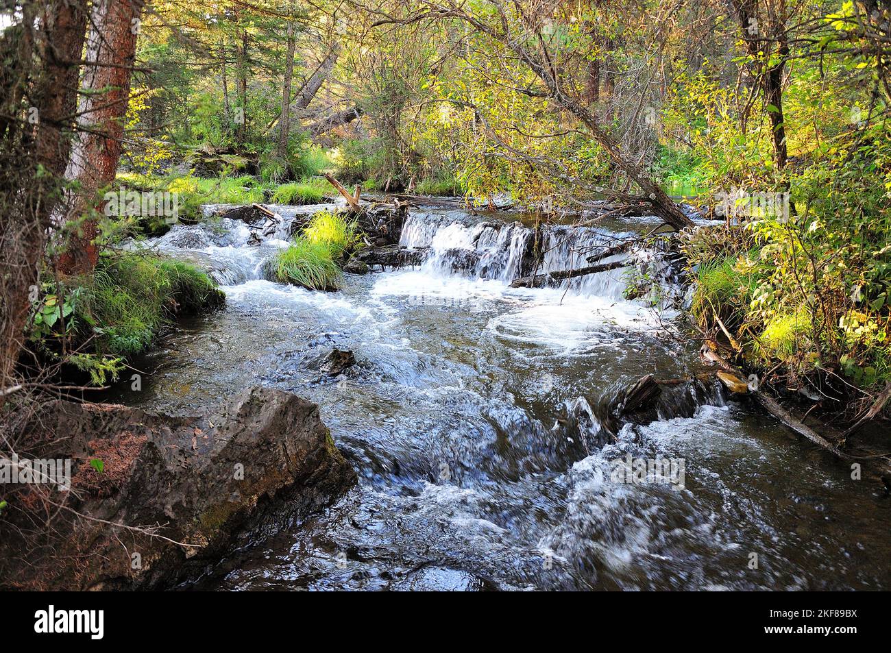 Cascade of waterfalls of a small river flowing through the morning ...