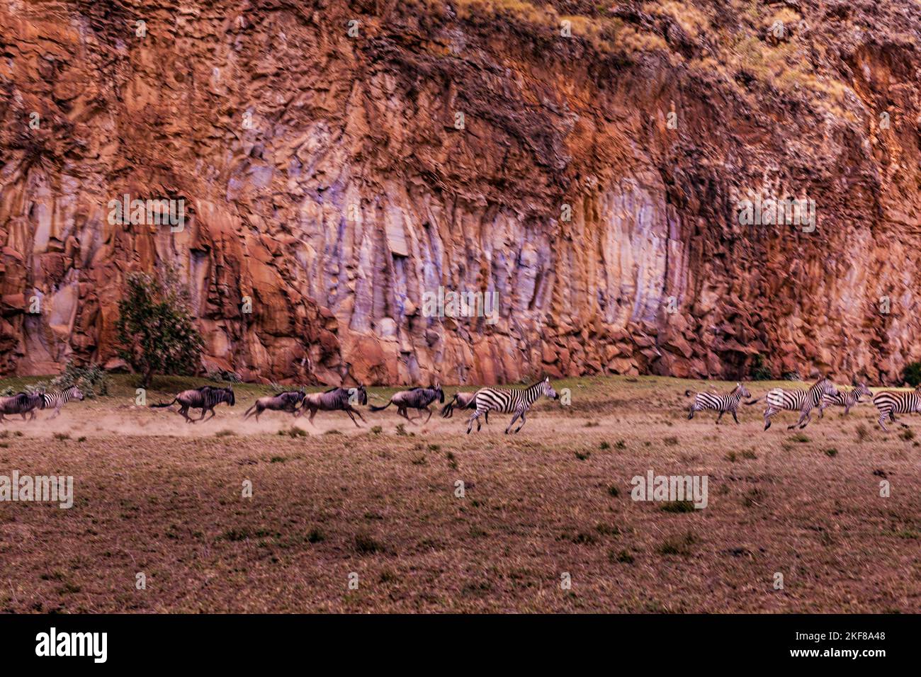 Hell's Gate National Park lies south of Lake Naivasha in Kenya, north ...