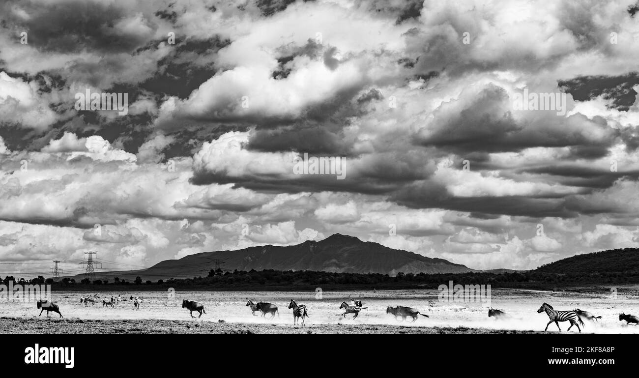 Hell's Gate National Park lies south of Lake Naivasha in Kenya, north ...