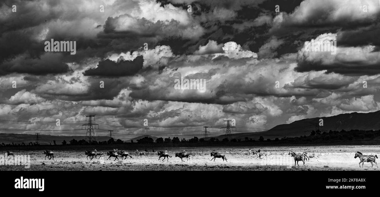 Hell's Gate National Park lies south of Lake Naivasha in Kenya, north ...