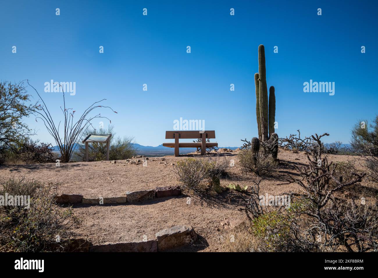 Saguaro NP, USA - April 3, 2022: The Nature Trailhead Stock Photo - Alamy