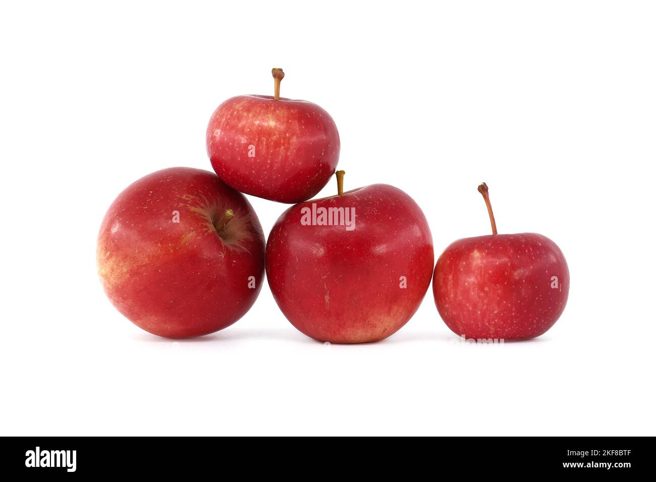 Freshly picked red apples of different sizes isolated on a white ...