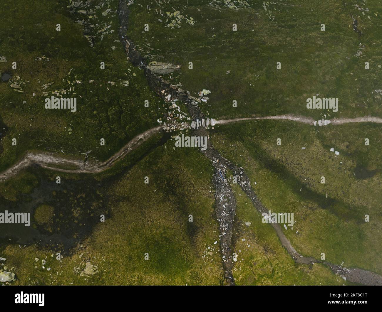 An aerial view of curved paths on green mountain slope Stock Photo - Alamy